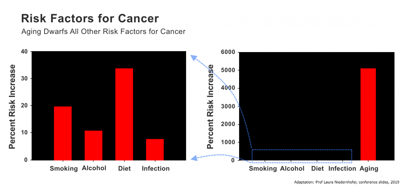 Aging and cancer - Longevity Wiki