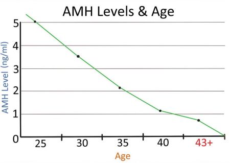 Anti-Müllerian hormone - Longevity Wiki